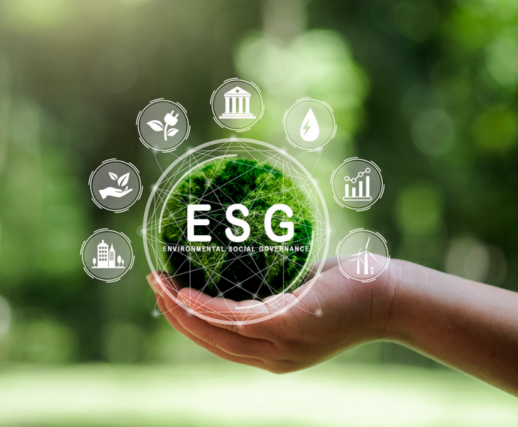 Como práticas ESG podem impulsionar suas vendas e imagem | Câmara de ...